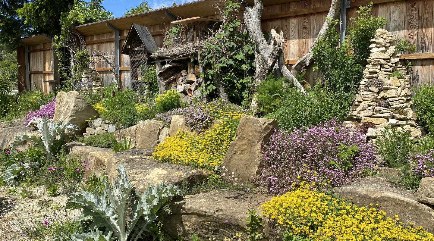 Zu Gast an der HESO | Pro Natura Solothurn